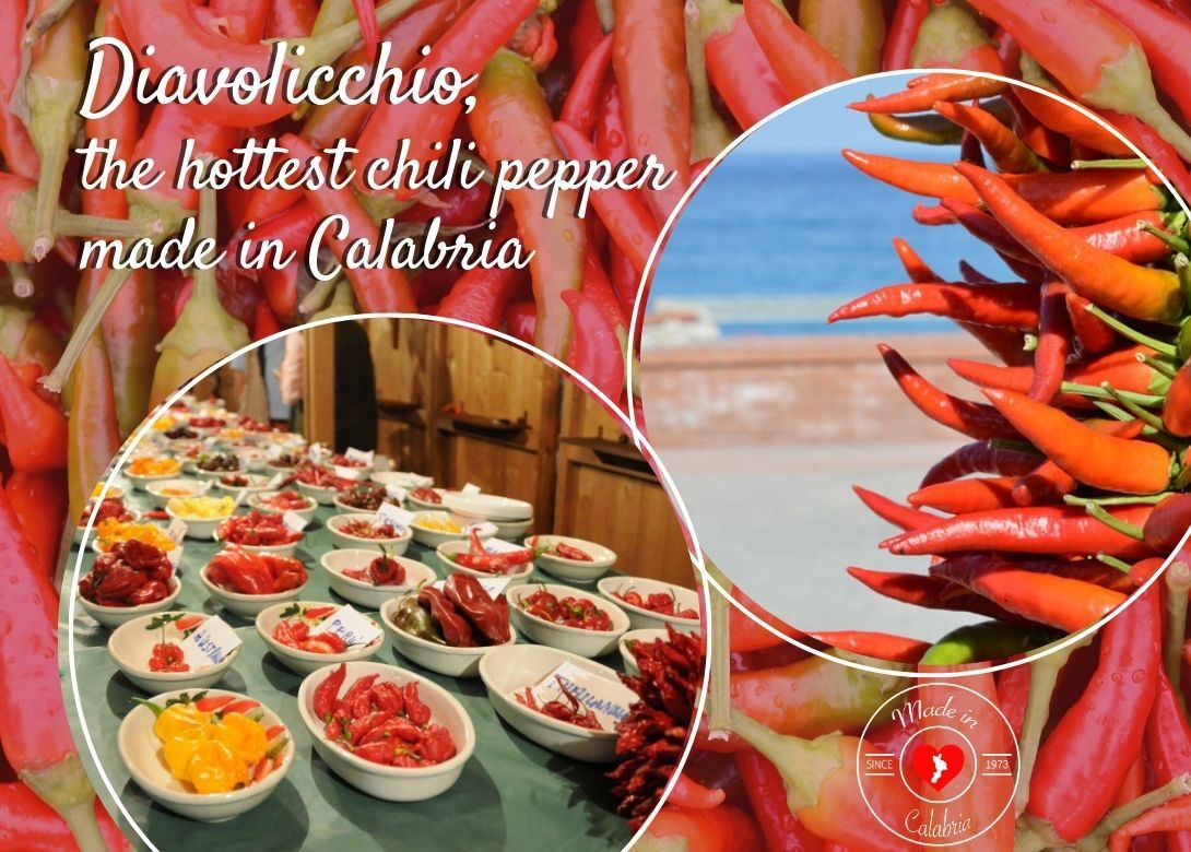 Diavolicchio, the hottest chili pepper Made in Calabria